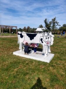 Pumpkin Park – Roth Pumpkin Patch